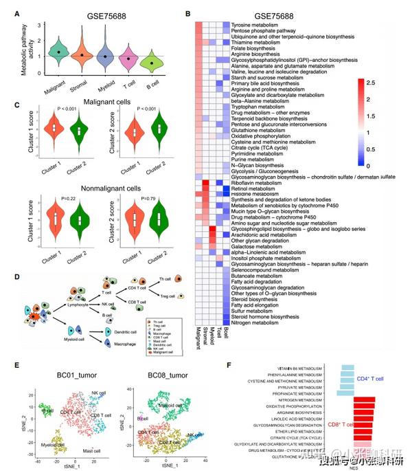 文献详解丨Bulk多组学联合单细胞转录组分析揭示了乳腺癌的代谢异质性 - 知乎
