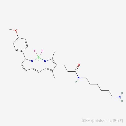 BDP TMR amine - 知乎