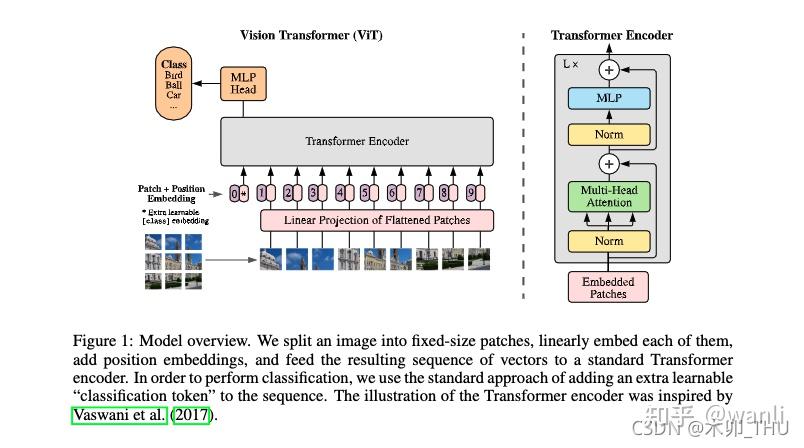 Vision Transformer(ViT)网络详解 - 知乎