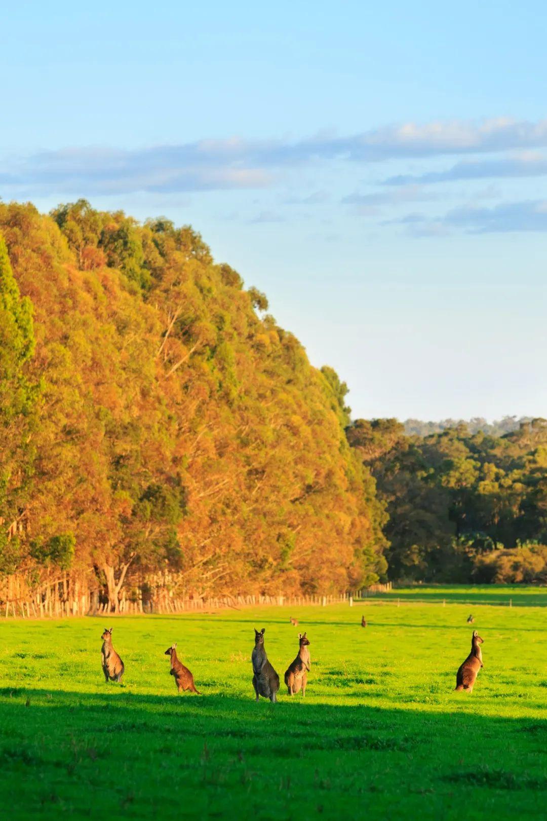 年度重磅！Lonely Planet公布2023世界最佳旅行目的地榜单！ - 知乎