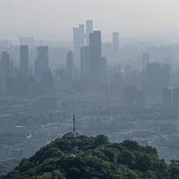 图像修复|笔记|Image Inpainting via Conditional Texture and Structure Dual ...