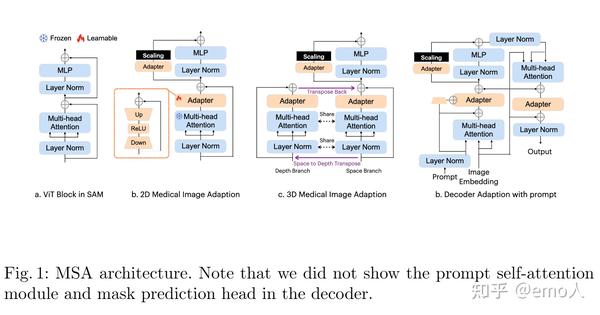 【笔记】Medical SAM Adapter（MSA） - 知乎