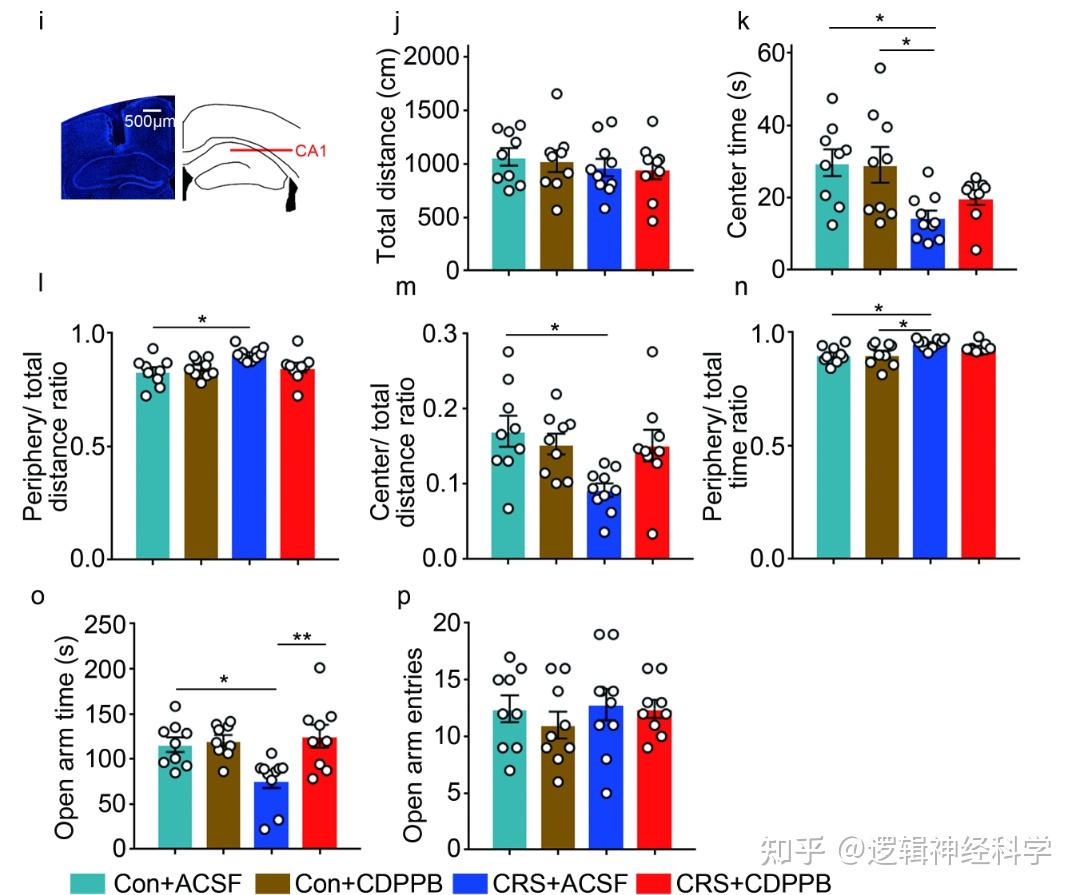 NPP︱南方医科大学高天明院士团队揭示mGluR5介导压力所致焦虑样行为的细胞机制 - 知乎