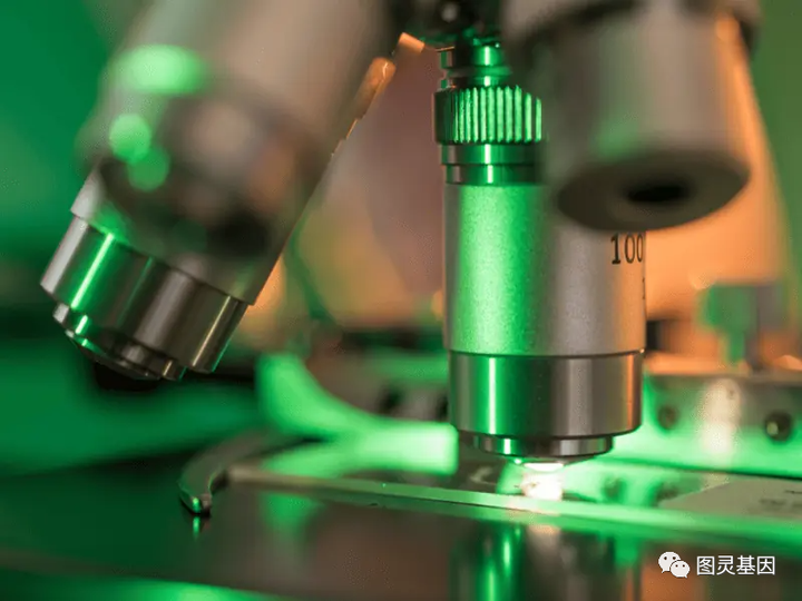 Nat Comm | 分辨率革命：光子的量子纠缠使显微镜分辨率翻倍 - 知乎