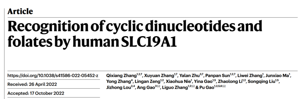 Nature︱高璞/张立国/高昂团队揭示SLC19A1对环二核苷酸和叶酸识别的分子机理 - 知乎