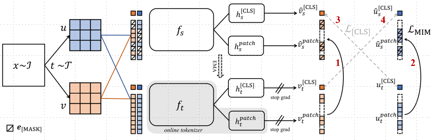 Self-Supervised Learning 超详细解读 (七)：大规模预训练 Image BERT 模型：iBOT - 知乎