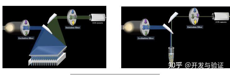 科普 | 实时PCR检测如何检出新冠病毒？ - 知乎