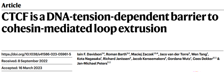 文献阅读随记：CTCF is a DNA-tension-dependent barrier to cohesin-mediated loop ...