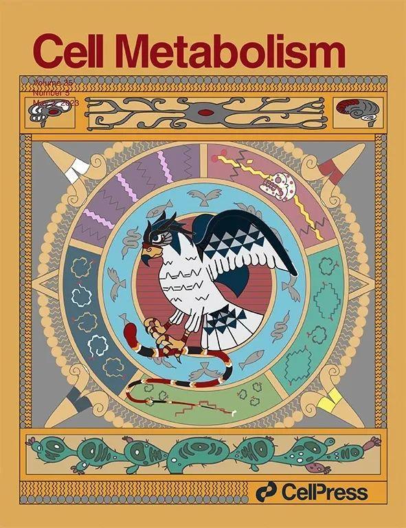 中科院一区Top，领域内顶刊！影响因子略微下降，国人相对友好 - 知乎