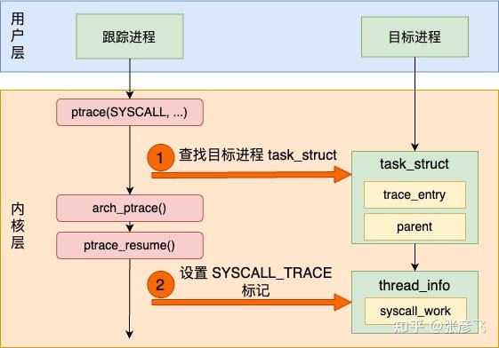 揭开 strace 命令捕获系统调用的神秘面纱 - 知乎