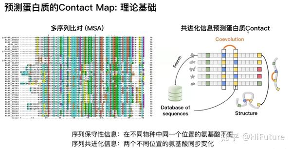 AlphaFold2 讲解（1） - 知乎