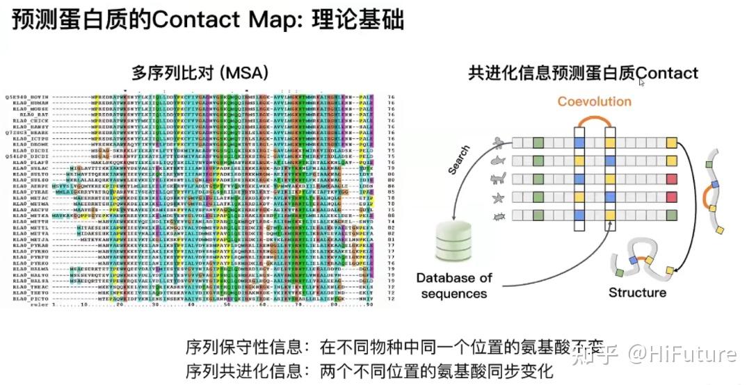 AlphaFold2 讲解（1） - 知乎
