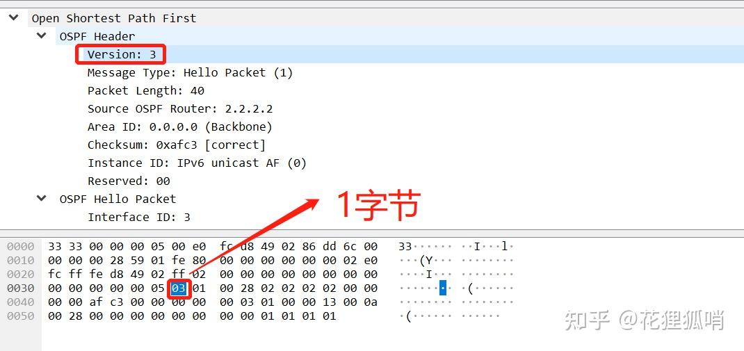 Ospfv3报文格式 知乎