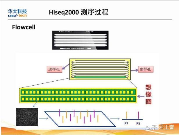 RNA-seq数据分析基本流程（1） - 知乎