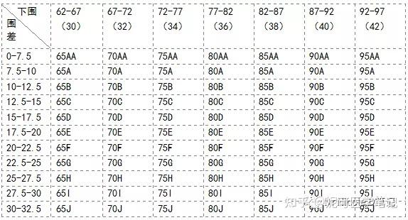 生日更新特辑#学习分享66#巨乳的奥秘Ⅰ - 知乎