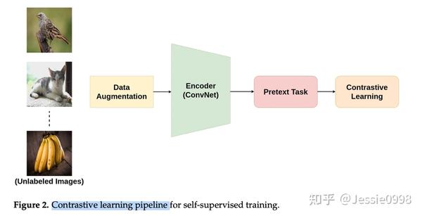 Contrastive learning 综述 ‘A Survey on Contrastive Self-Supervised ...