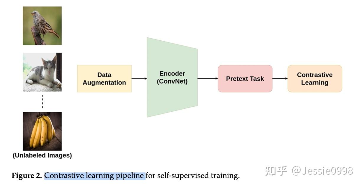 Contrastive learning 综述 ‘A Survey on Contrastive Self-Supervised ...