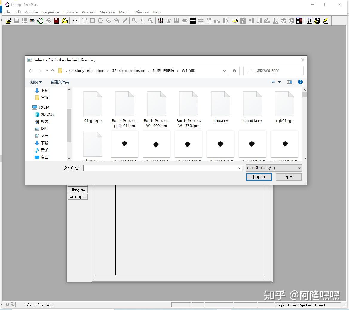 使用image pro plus计算大量照片数据的方法 - 知乎