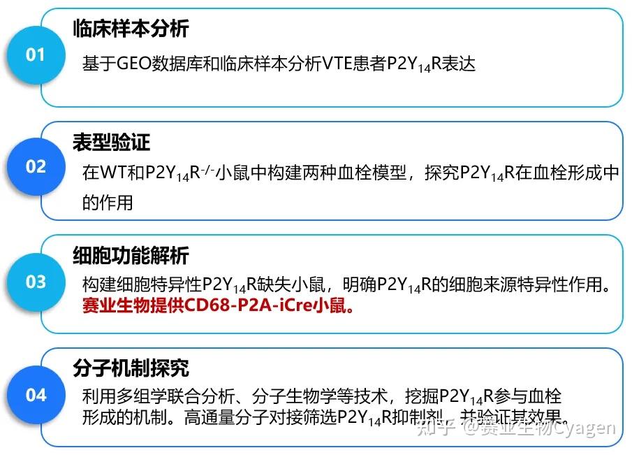 Eur Heart J（IF=35.6）| 中国药科大学/鼓楼医院团队合作发现中性粒细胞P2Y14R是防治静脉血栓的潜在新靶点 - 知乎