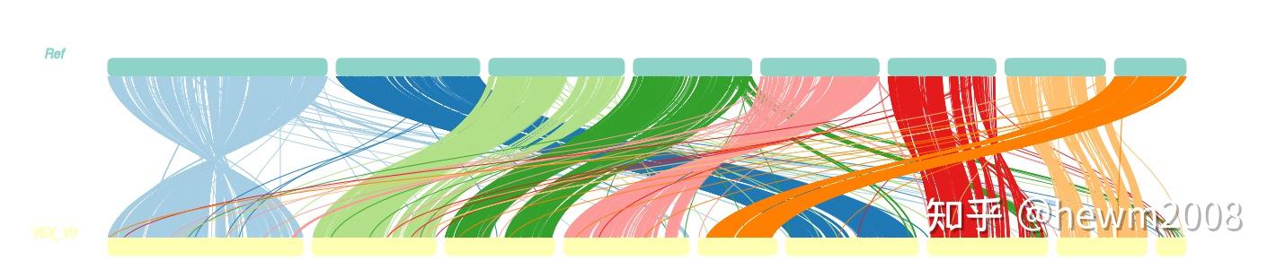 NGenomeSyn之用minimap2 快速 作 两个基因组的共线性图 - 知乎