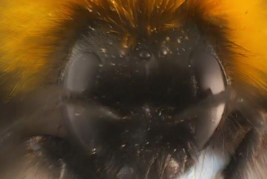 更新啦！Kornia 0.6.0——更面向深度学习的高阶API - 知乎