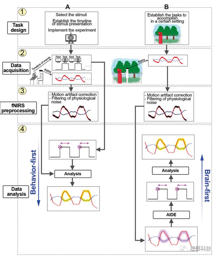fNIRS在认知神经科学中的应用现状和未来 - 知乎