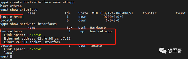 给VPP增加一个接口（非DPDK方式） - 知乎