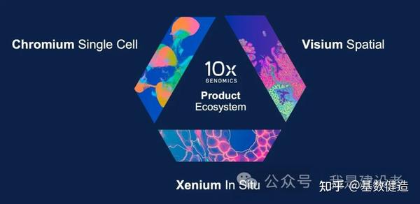 10x Genomics终于推出新的 Visium HD 平台！ - 知乎