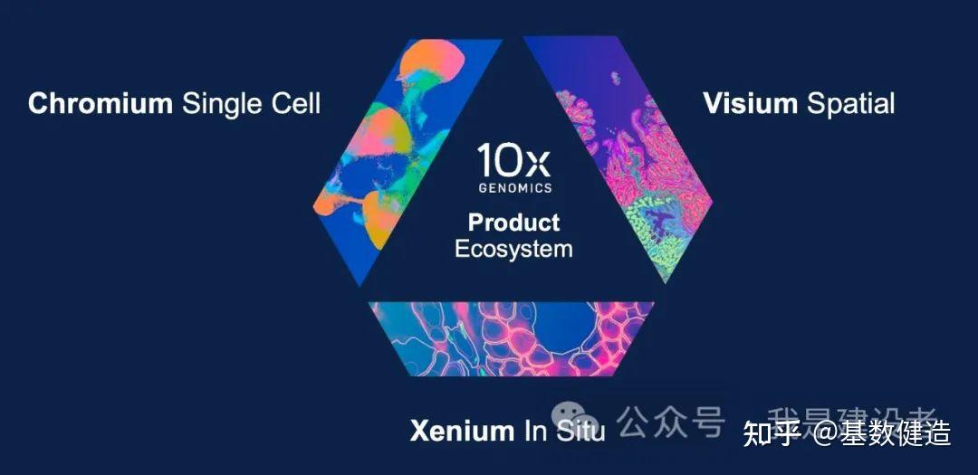 10x Genomics终于推出新的 Visium HD 平台！ - 知乎
