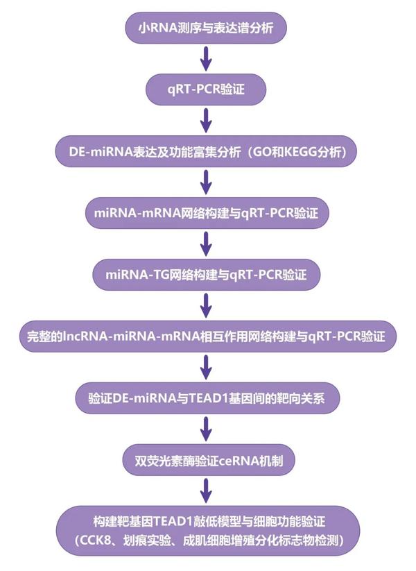 ceRNA机制研究常见套路 - 知乎