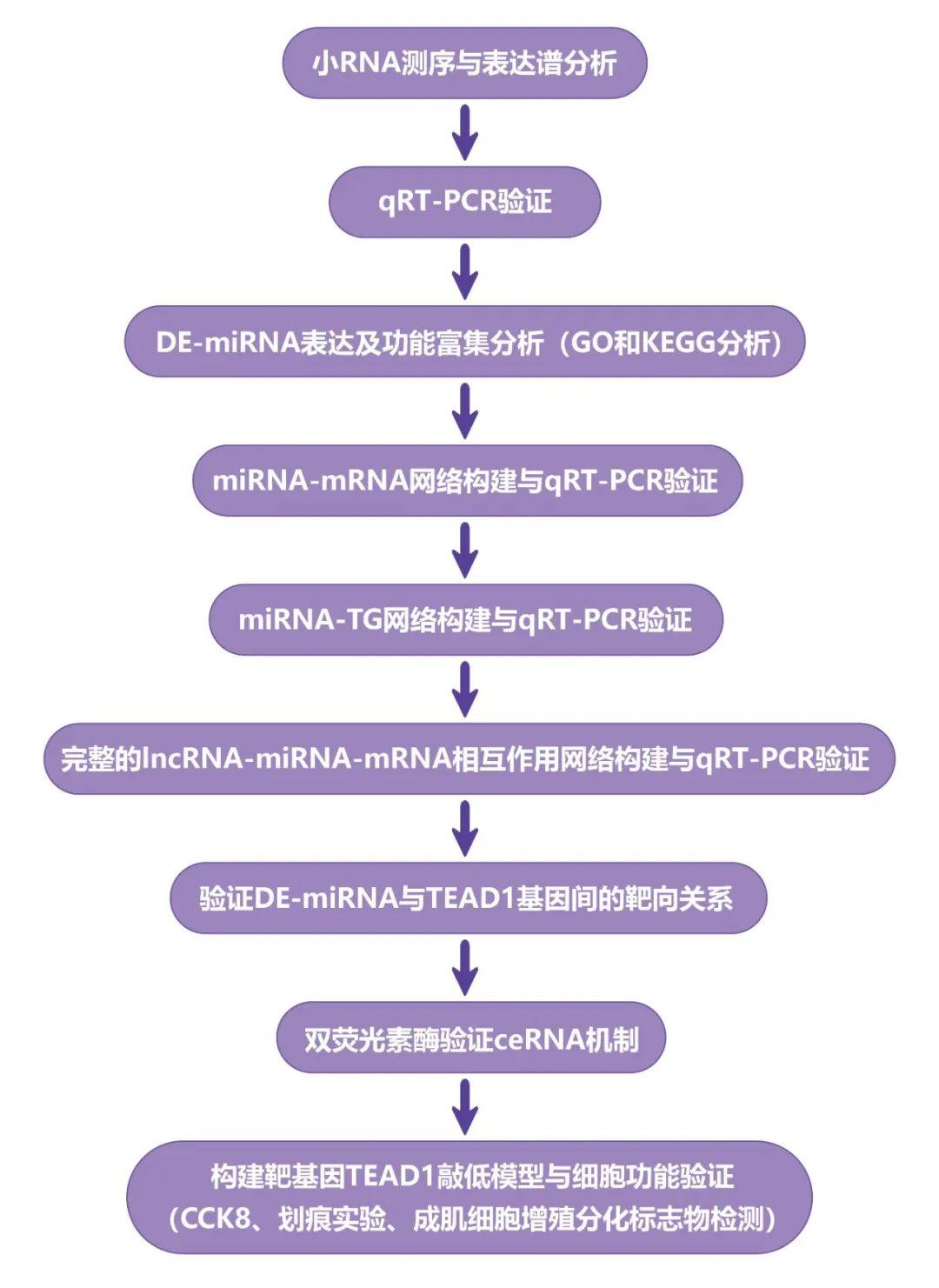 ceRNA机制研究常见套路 - 知乎