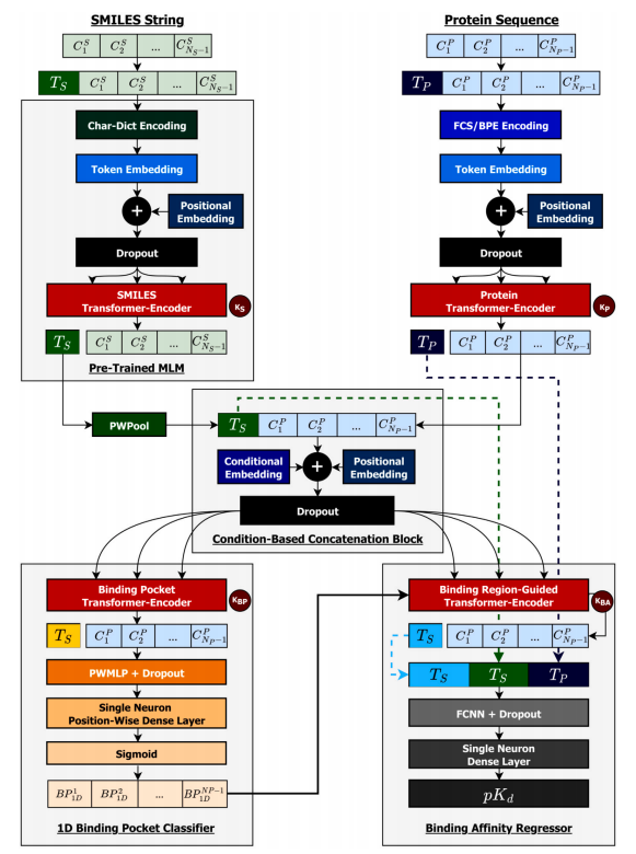 论文笔记21|TAG-DTA Binding-region-guided strategy to predict drug-target ...