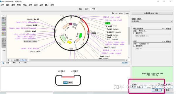 同源重组法构建质粒图谱 - 知乎