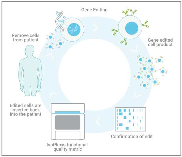 Cell Stem Cell | IsoPlexis单细胞功能蛋白质组学技术加速CRISPR编辑的iPS-NK细胞疗法 - 知乎