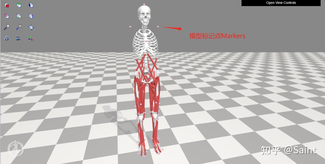 如何在OpenSim中建立一个新的人体模型？ - 知乎