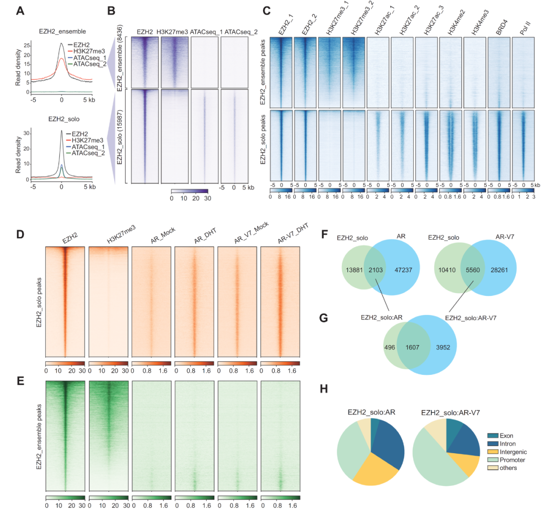 NAR︱蔡玲/王刚/金坚团队合作揭示和靶向前列腺癌中EZH2的双重功能 - 知乎