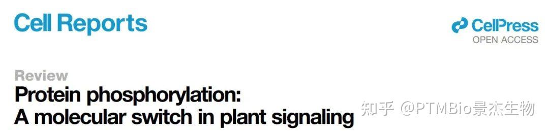 Cell Rep | 福建农林大学徐通达组综述植物磷酸化事件发生研究进展 - PTMBio - 博客园