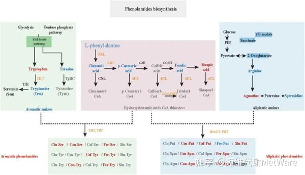项目文章 | 综合转录组、蛋白组和代谢组探究青稞对于白粉病的抗性机制 - 知乎