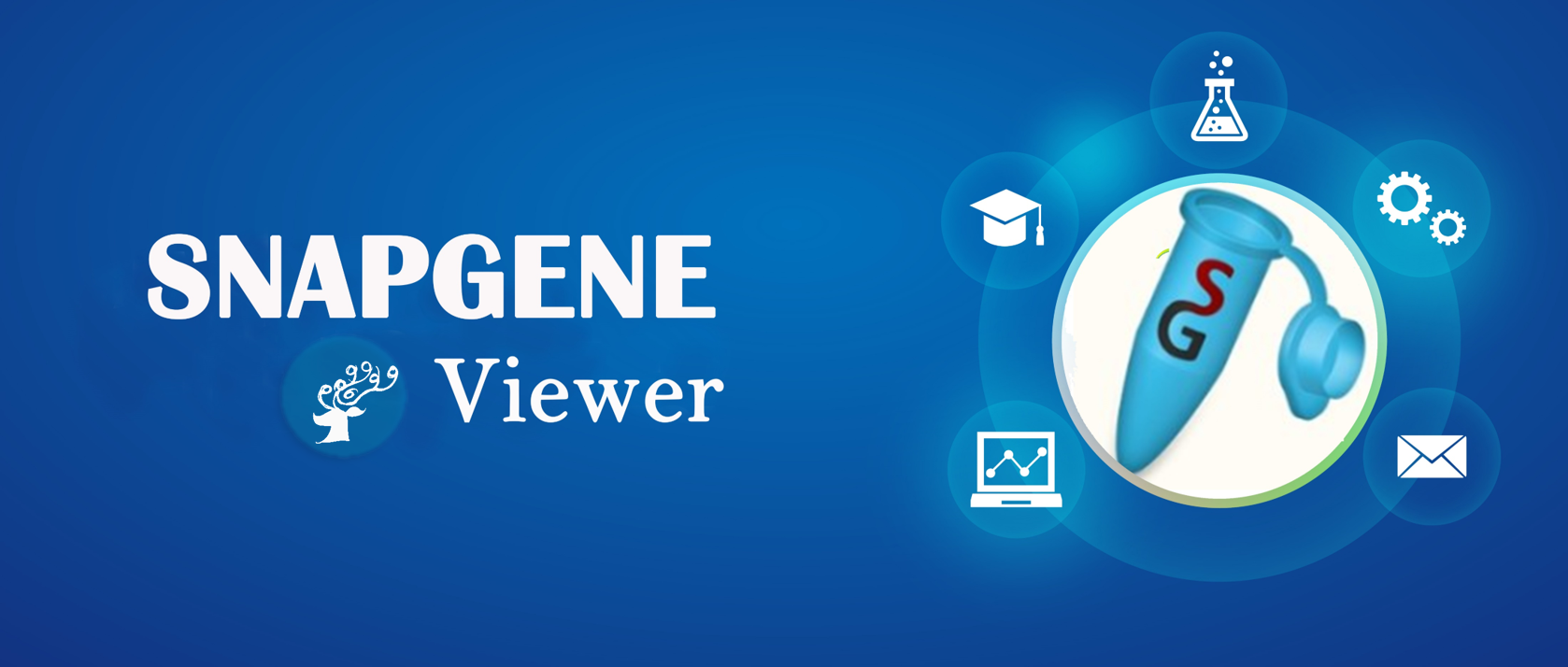 SnapGene Viewer软件序列可视化操作 - 知乎