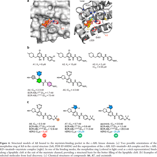19年磨一剑，诺华BCR-ABL变构抑制剂asciminib的发现 - 知乎