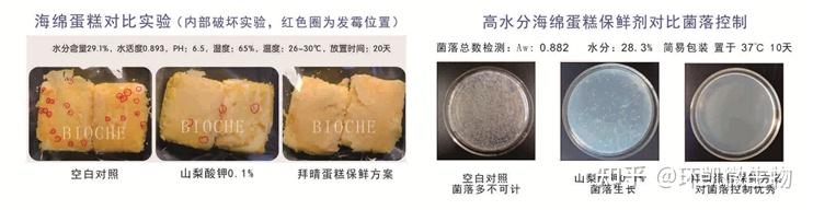 科普篇：如何理解微生物检测中的CFU？ - 知乎