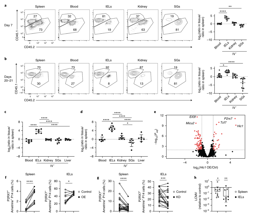 Nat Immu | CD8+ T细胞组织特异分化图谱 - 知乎