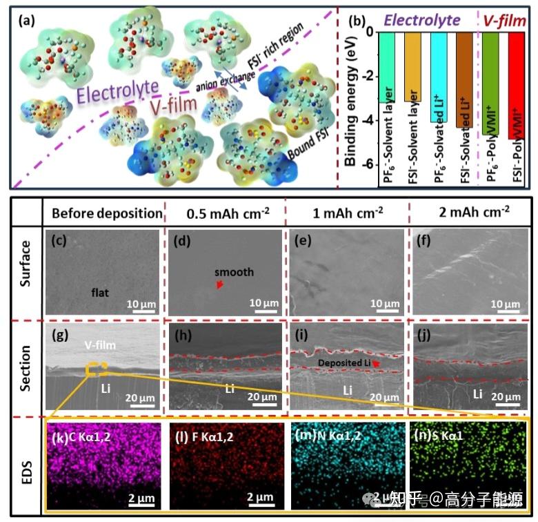 Angew： 通过原位交联乙烯基离子液体结合FSI-，构建用于锂电池的自愈合SEI薄膜 - 知乎