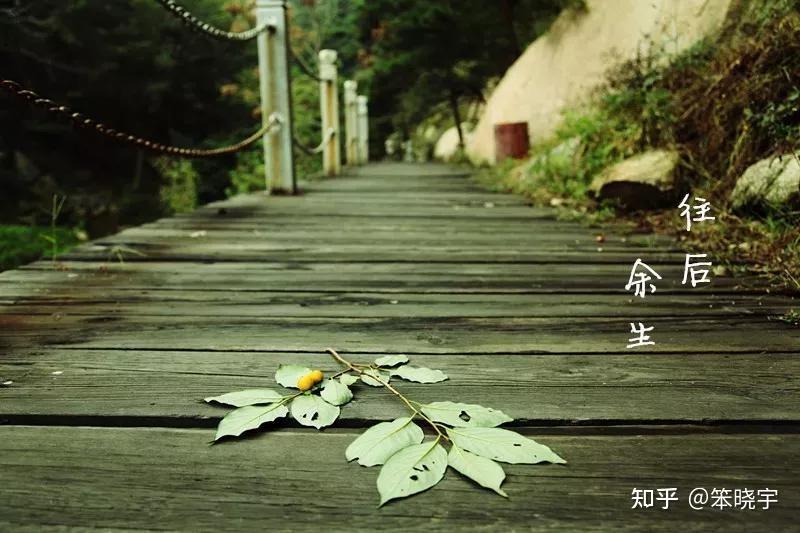 往后余生,不纠缠,不打扰~ 知乎