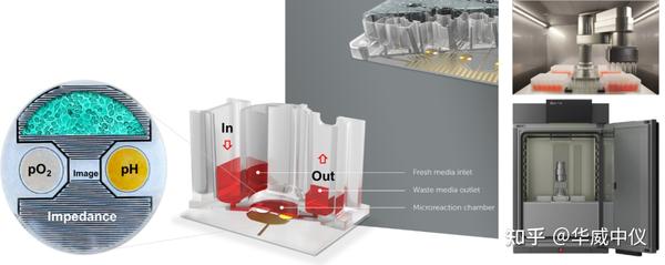 2022年OROBOROS O2k能量代谢相关文章锦集 - 知乎