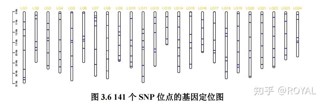 SNP 位点的基因定位图 - 知乎