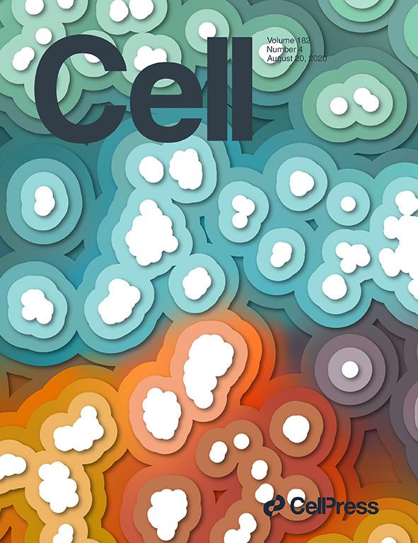 科学与艺术的结合！《CELL》100+张期刊封面鉴赏｜2020年篇 - 知乎