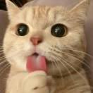 sgl-kernel MoE Align Block Size Kernel 优化过程解析 - 知乎