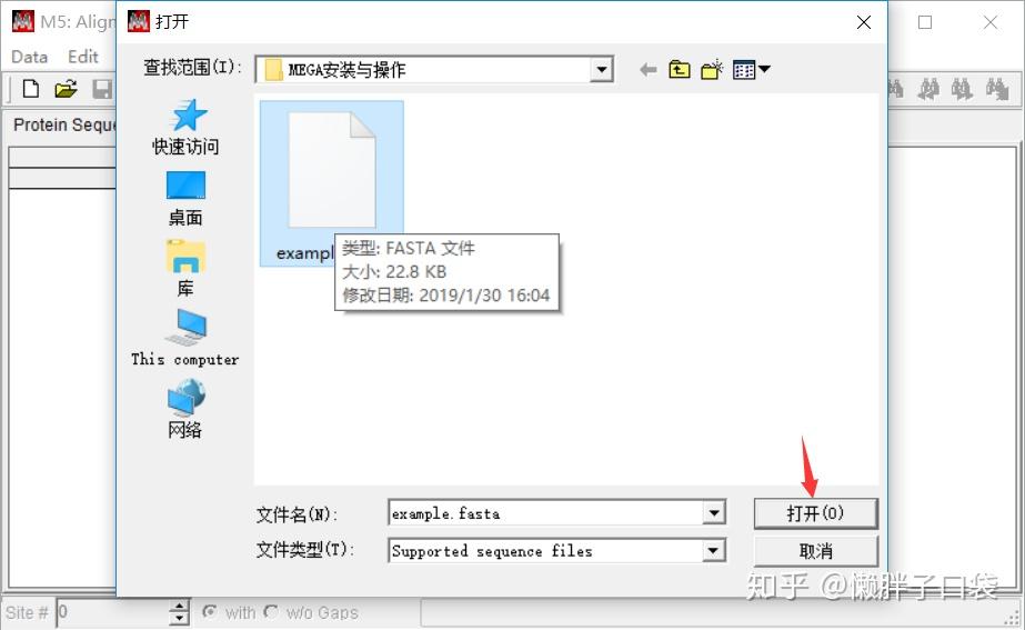 MEGA5.1获取和构建系统发育树 - 知乎