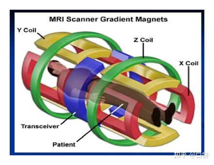 MRI(磁共振成像)空间编码 - 知乎